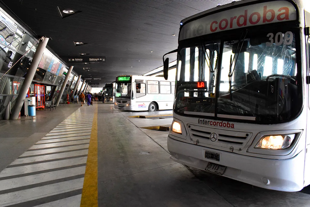Hay transporte interurbano y urbano gratuito para votar este domingo