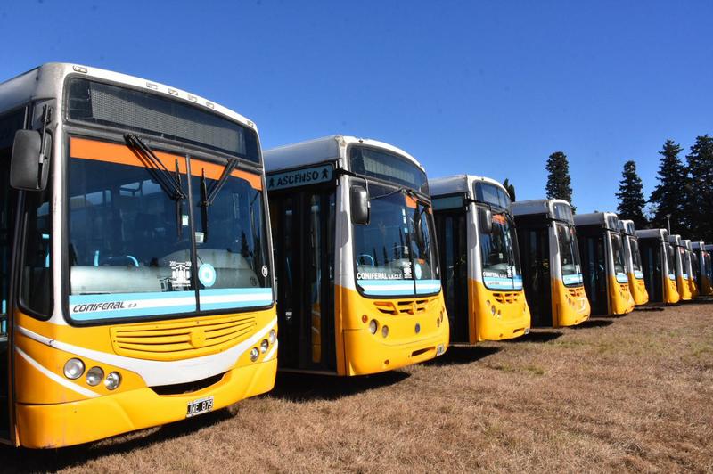 Sumarán 150 nuevos colectivos al sistema de transporte urbano: qué ...