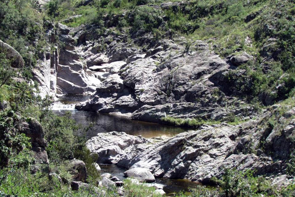 Reserva Cerro Blanco: el refugio del cóndor