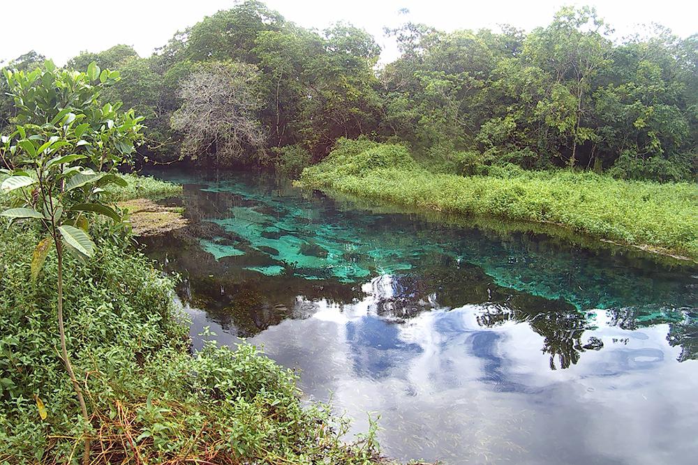 Bonito, el secreto mejor guardado de Brasil